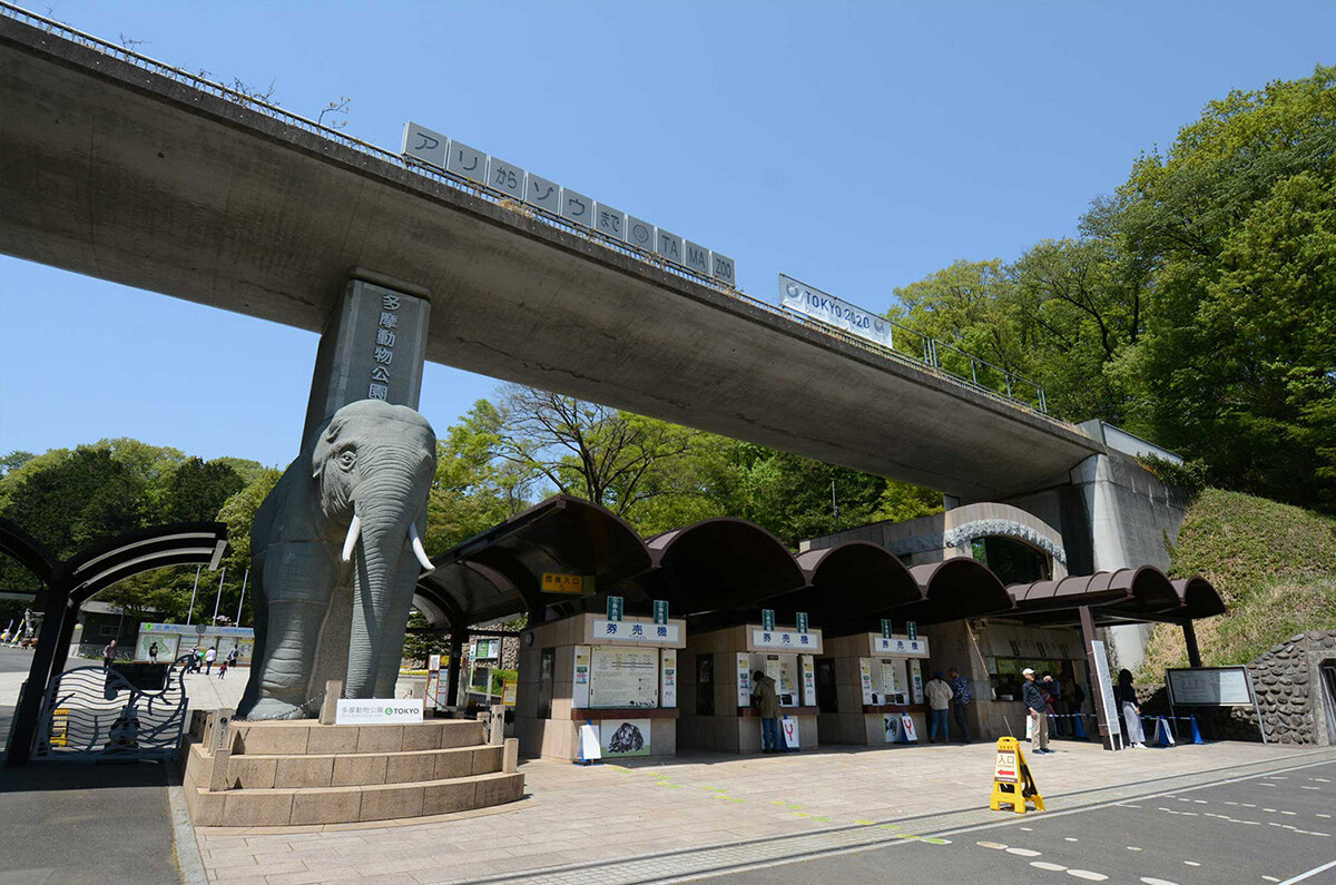 3-Day Itinerary: Make your way across Tokyo, enjoying great tastes ...